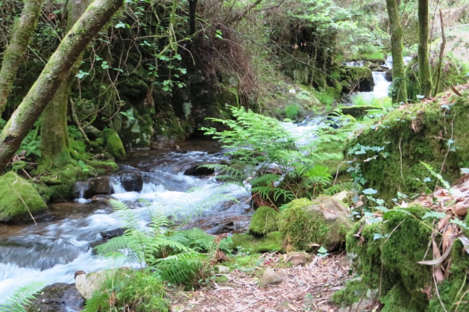 Cascata do Rio Gresso - Recantos & Encantos de Portugal