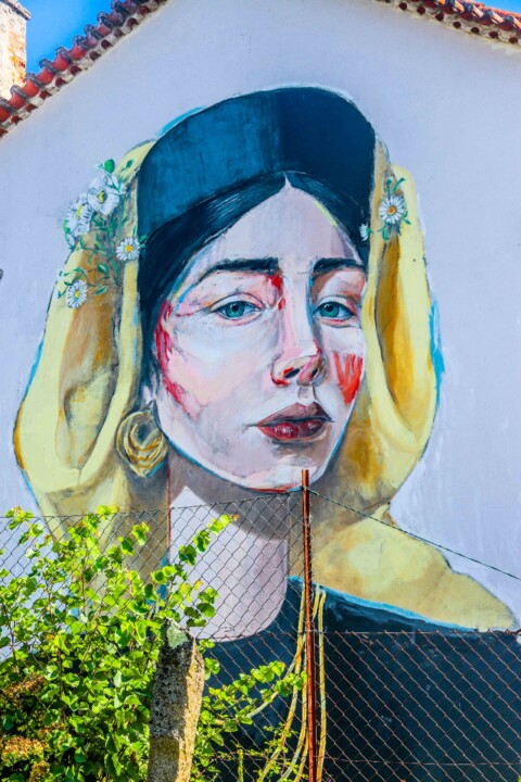 Mural de Margarida Fleming em São Pedro do Sul - Arca de Darwin