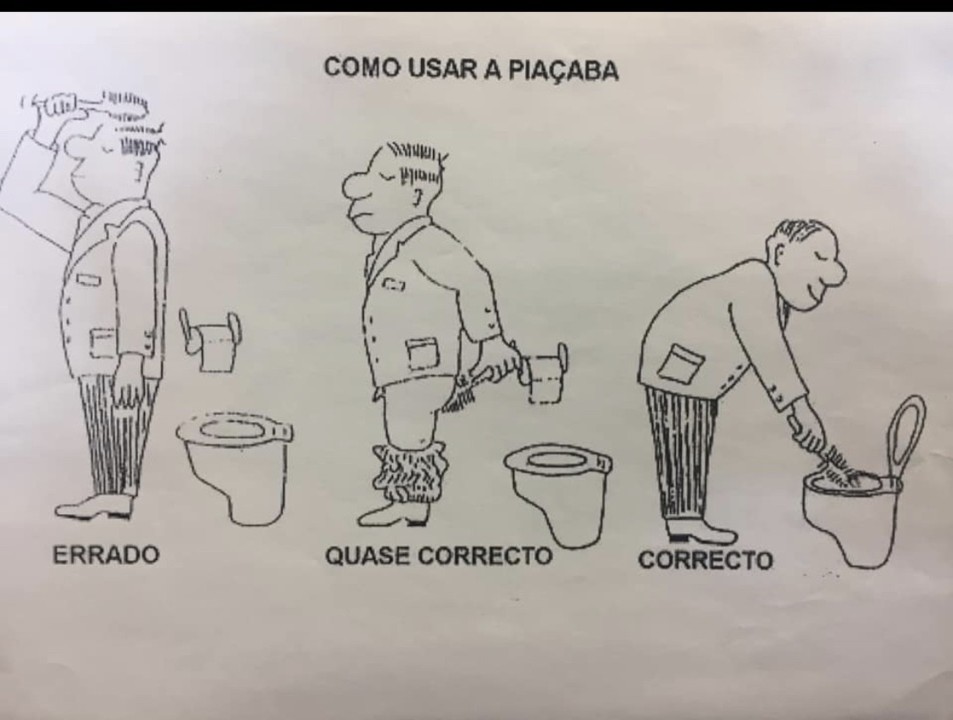 Como usar a piaçaba - Dona Pavlova