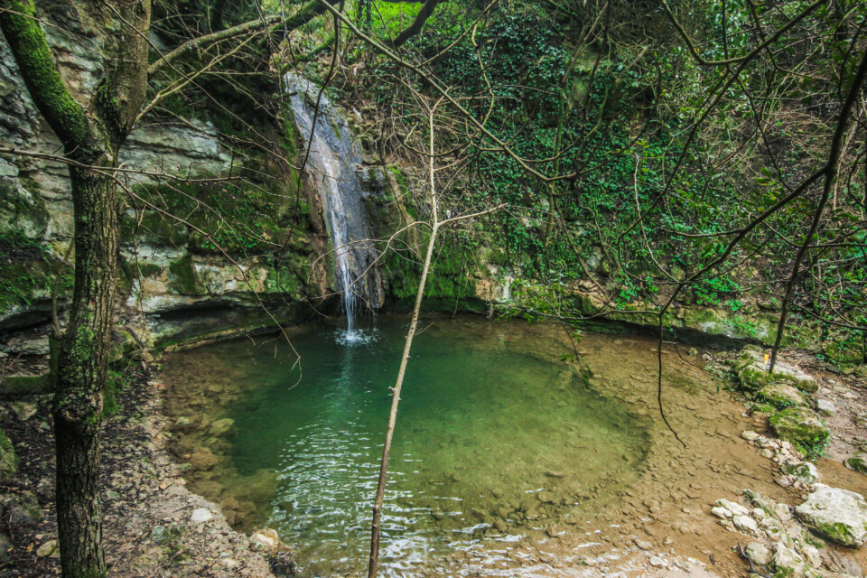 Cascata da Contradinha e Cascata do Boição (Loures) - Arca de Darwin