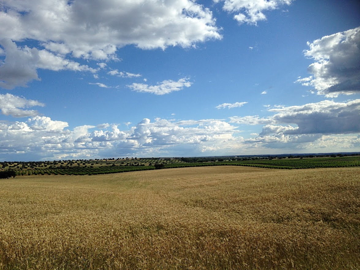 Em Uma Planície Ocorreu - EDUCA